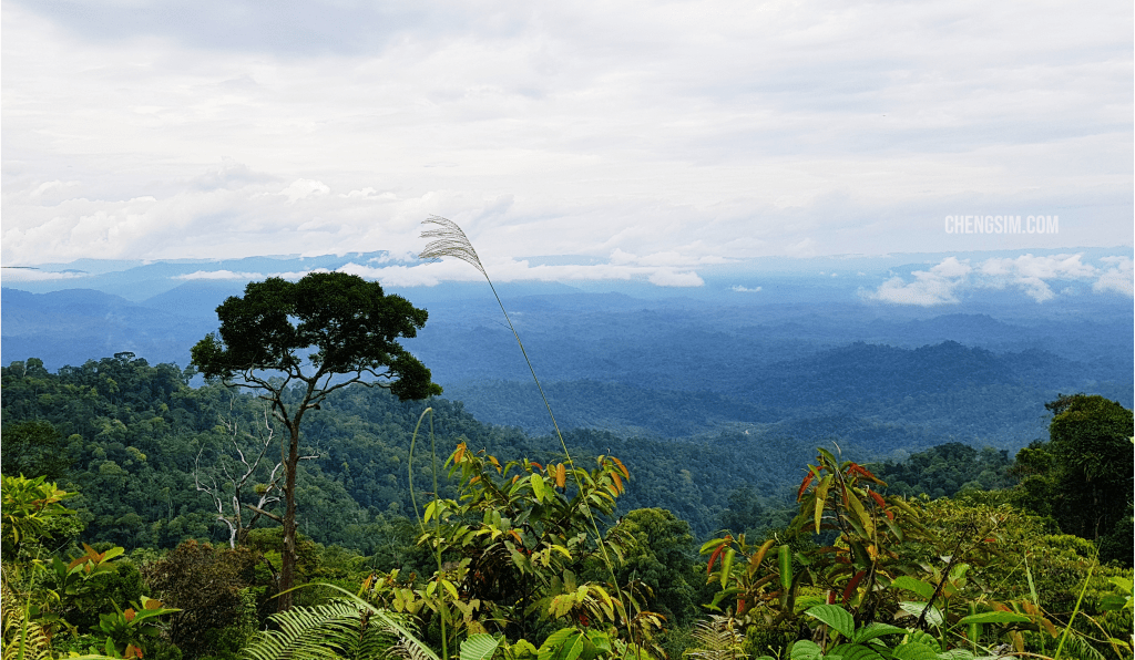 The hidden waterfalls of Ulu Baram – Cheng Sim